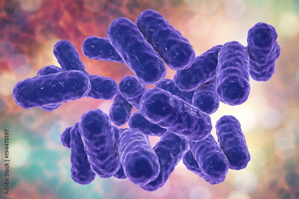 Enterobacter bacteria, gram-negative rod-shaped bacteria, part of ...