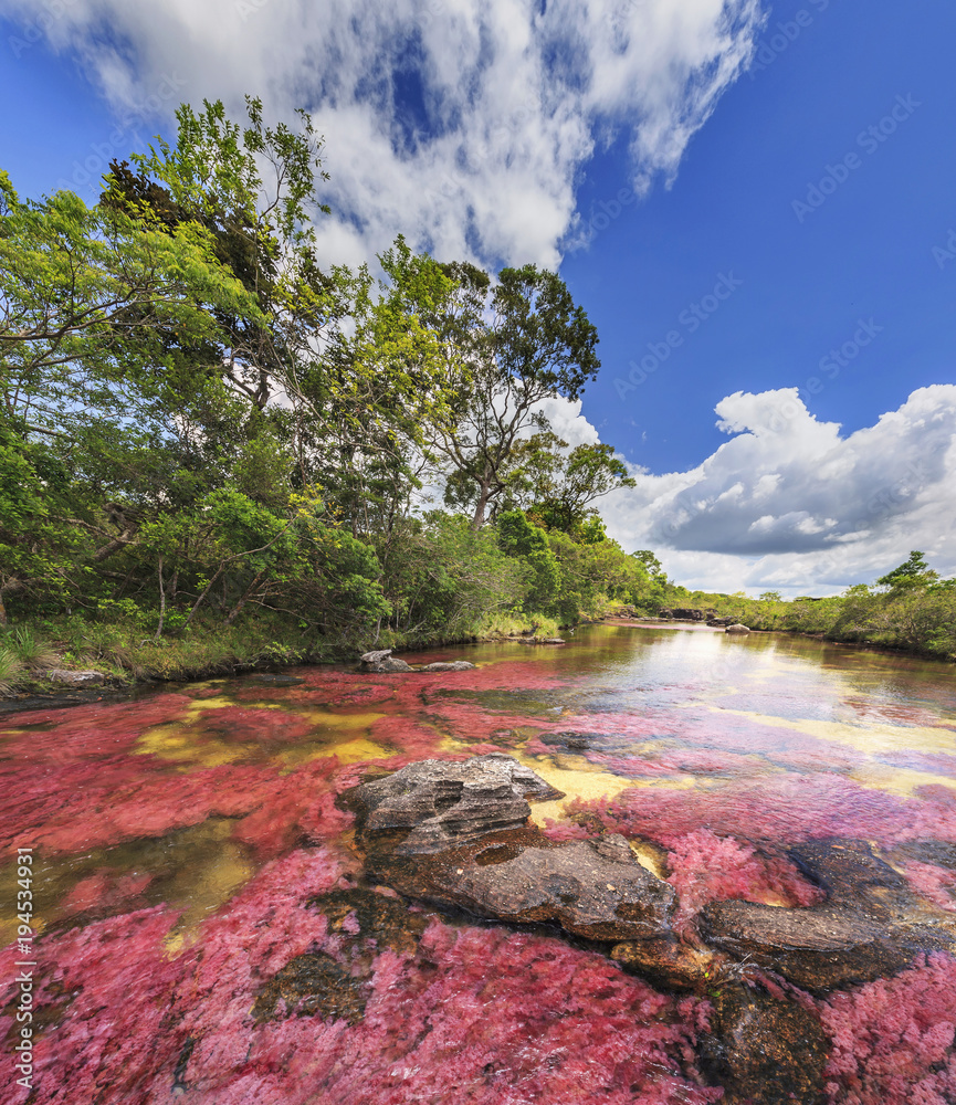The River Of Five Colors