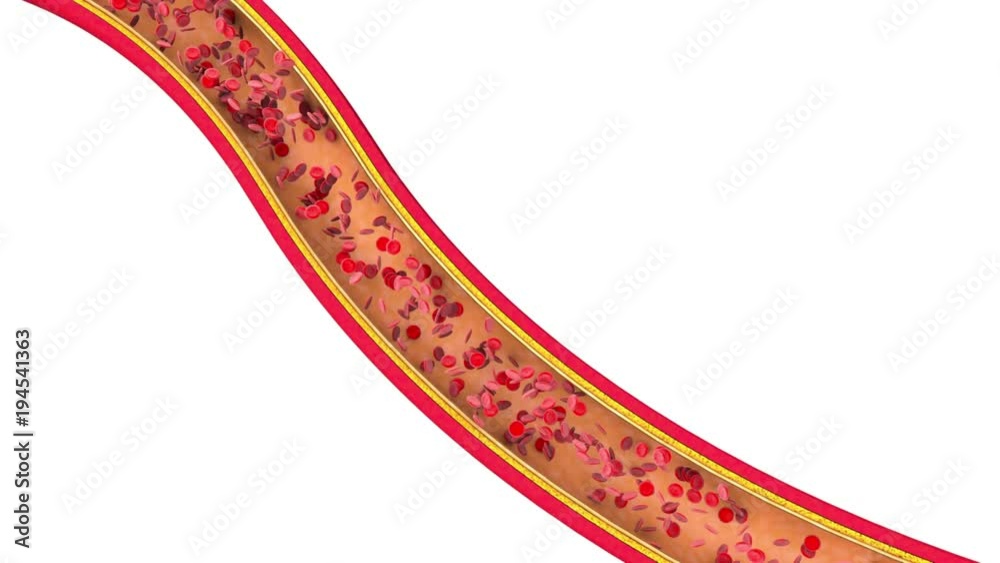 3D rendered Animation of Erythrocytes aka Hemoglobin Blood cells ...