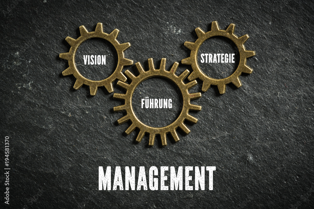 Foto de Management als Zusammenspiel aus Vision, Strategie und Führung ...