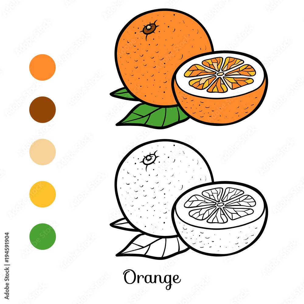 Coloring book, Orange Stock Vector | Adobe Stock