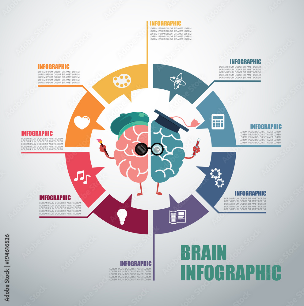 Modern infographics options banner with colorful brain and in outline ...