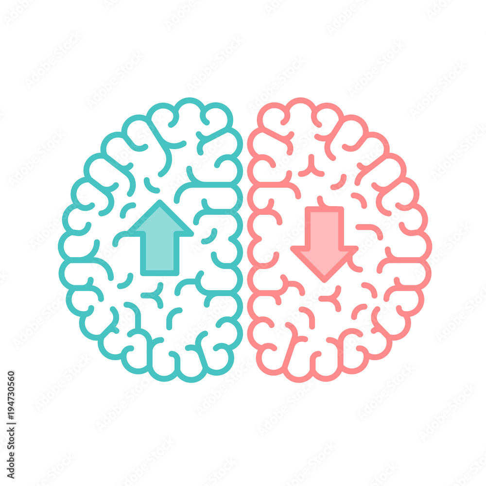 Left and Right Brain, Up and Down concept outline stroke flat design ...