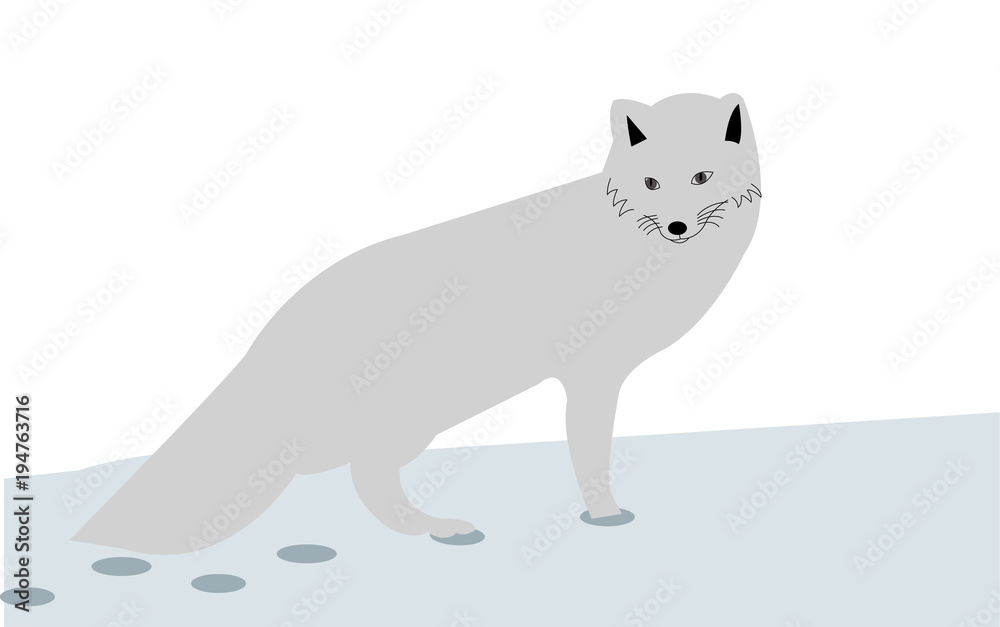 Snow Fox Cartoon