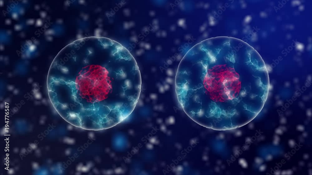 Cell division microbiology background with purple cell nucleus and blue ...