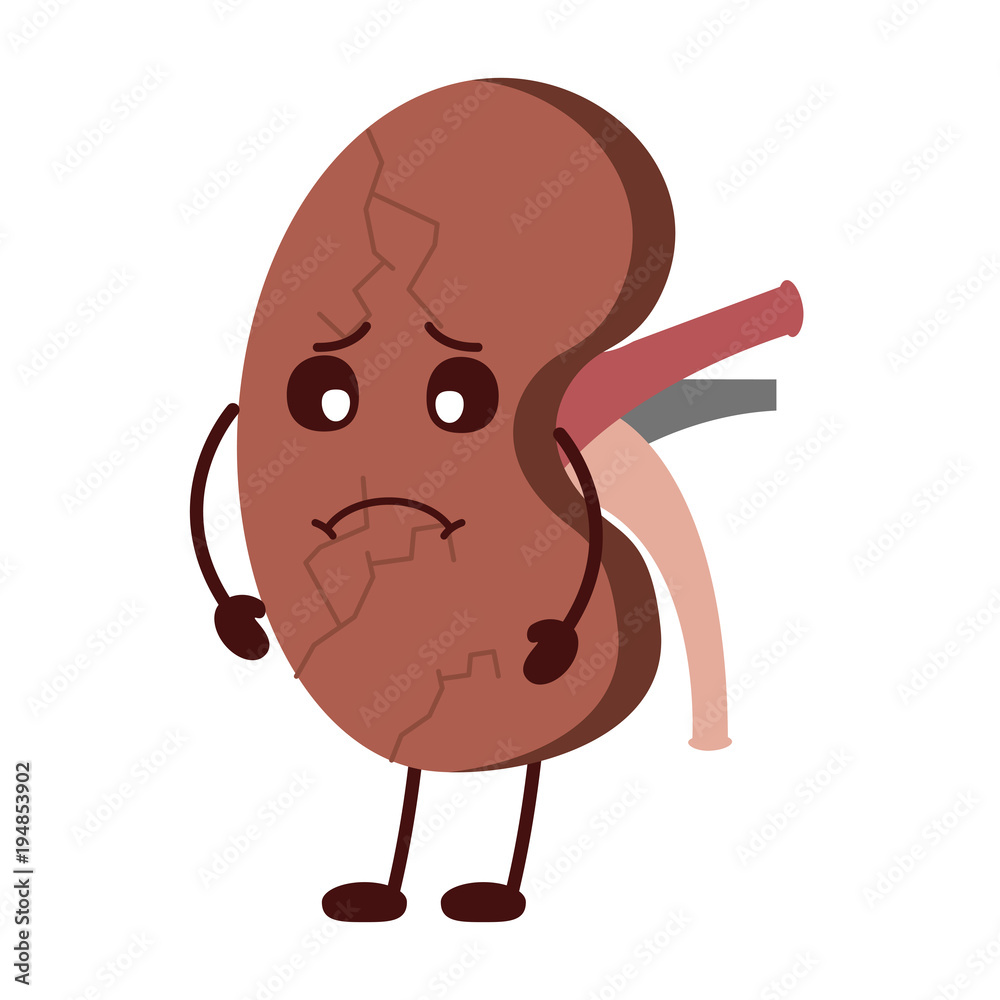 cartoon human kidney sick character vector illustration Stock Vector ...