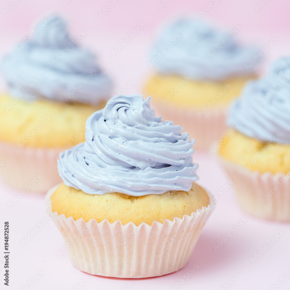 Beautiful Cupcakes Photography
