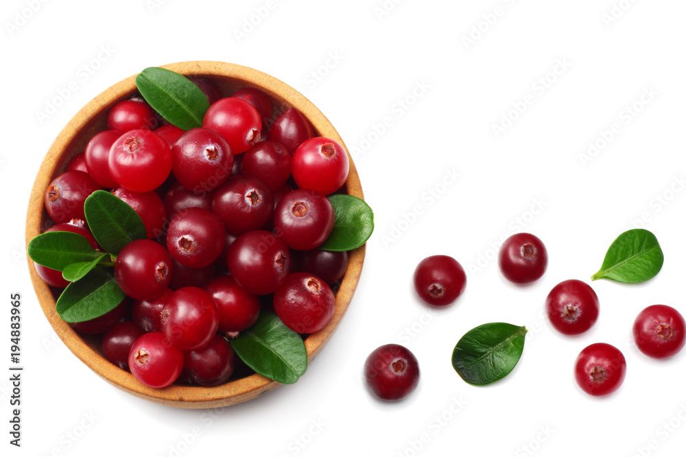 Cranberry isolated on white. With clipping path. Full depth of field ...