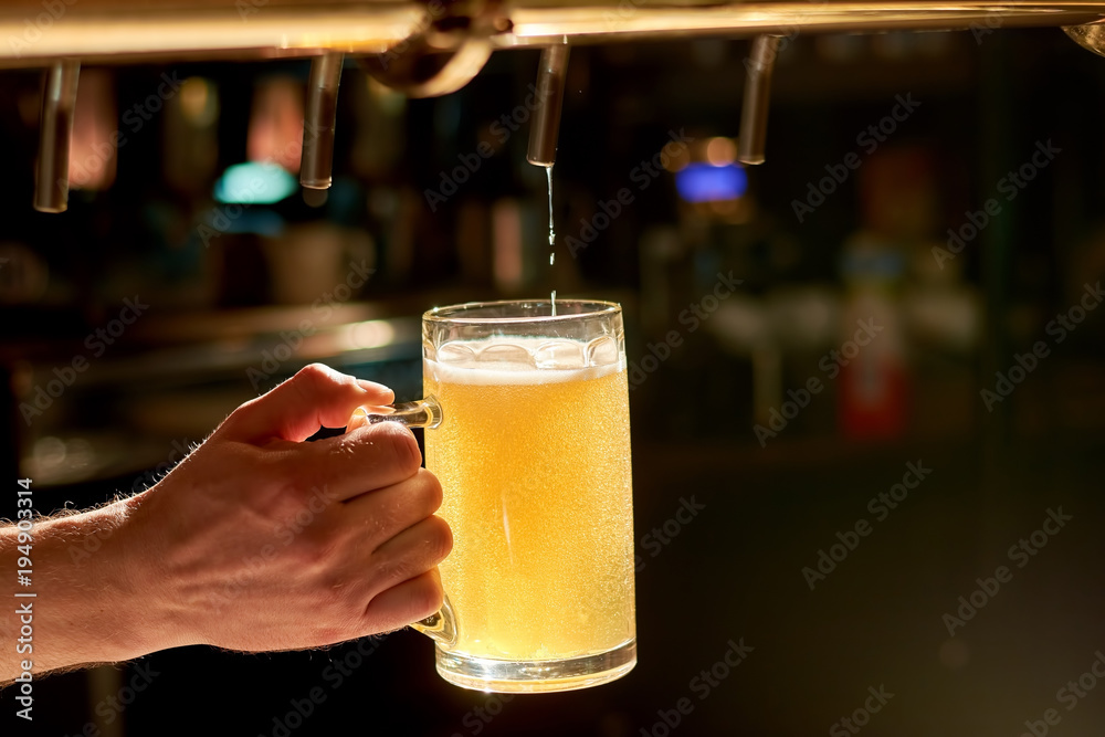 Bartender pouring fresh beer in pub. Beer pouring from a tap. Barman ...