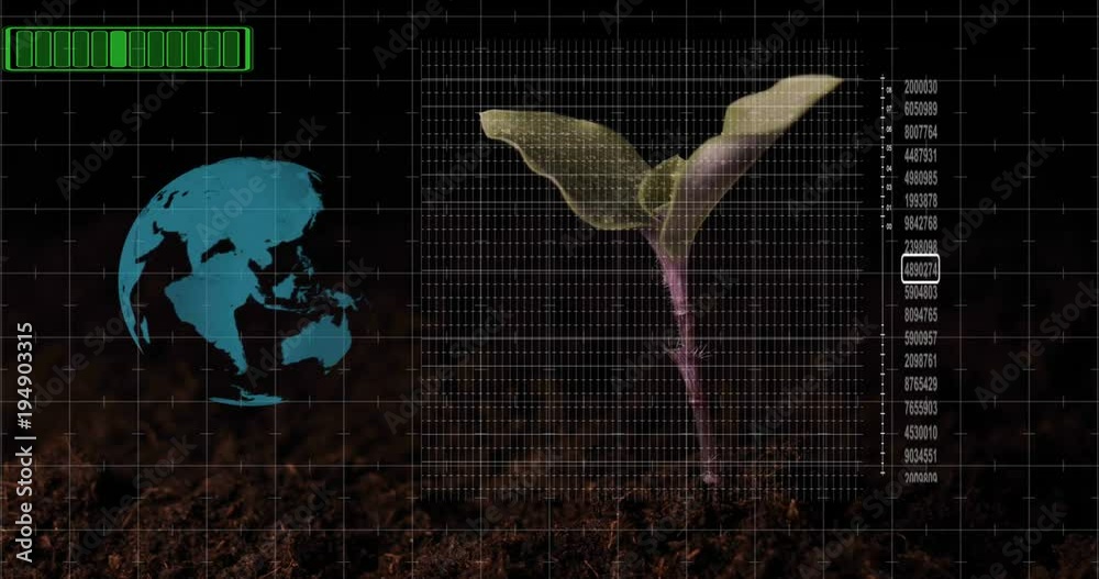 Futuristic high technology of studying bio living matter, a sprout with ...