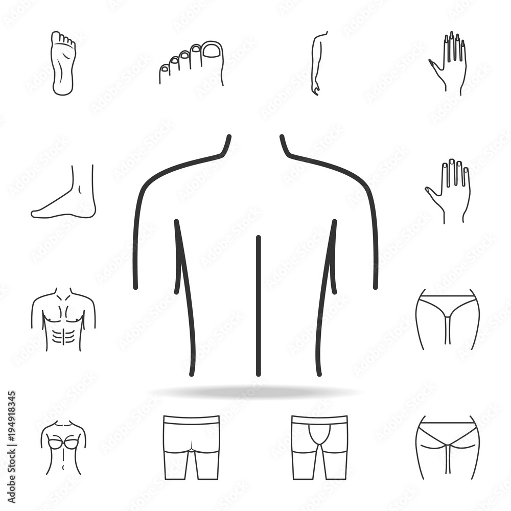 female back shoulder icon. Detailed set of human body part icons ...