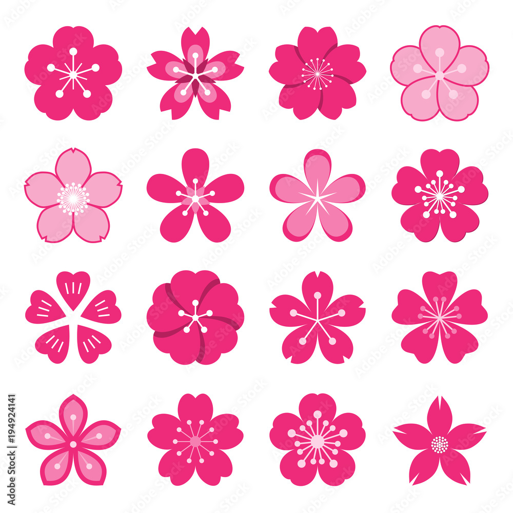 Sakura icons. Collection of 16 colored Ume Japanese cherry blossom ...