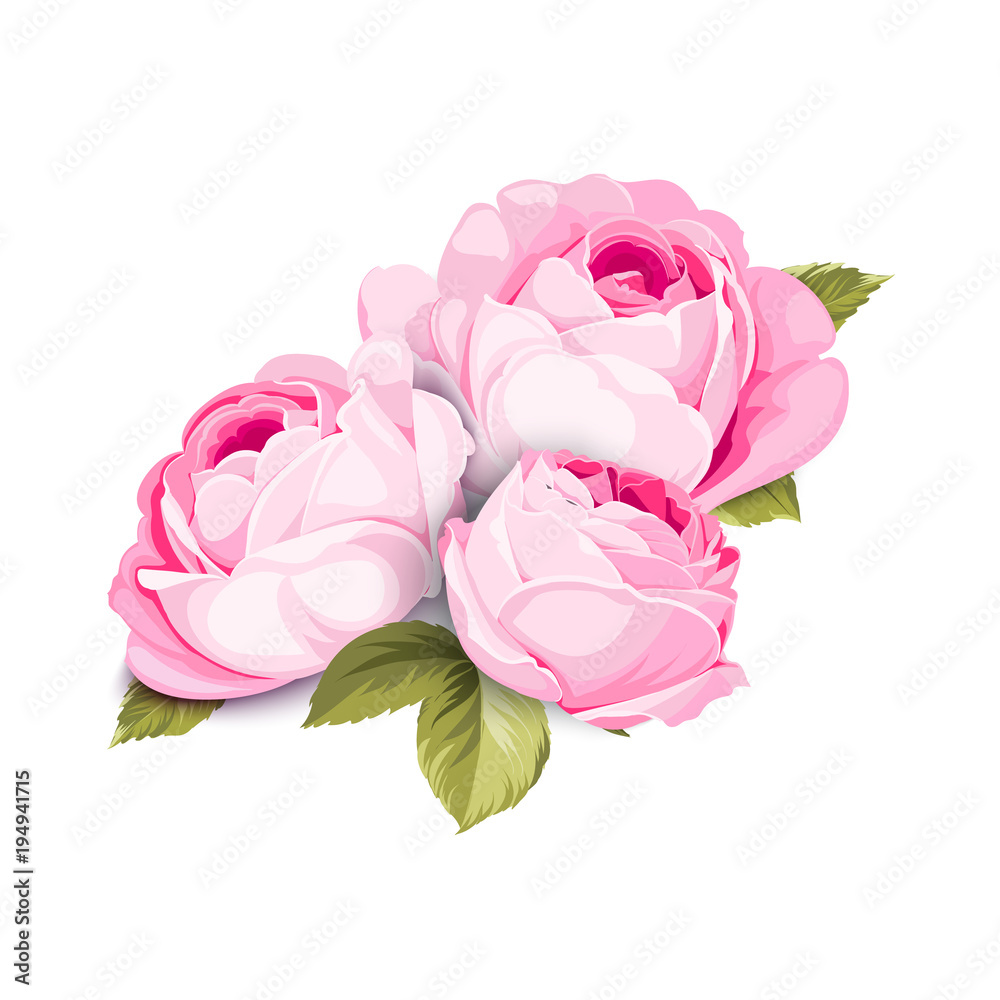 Small Rose Flower Drawings | Best Flower Site