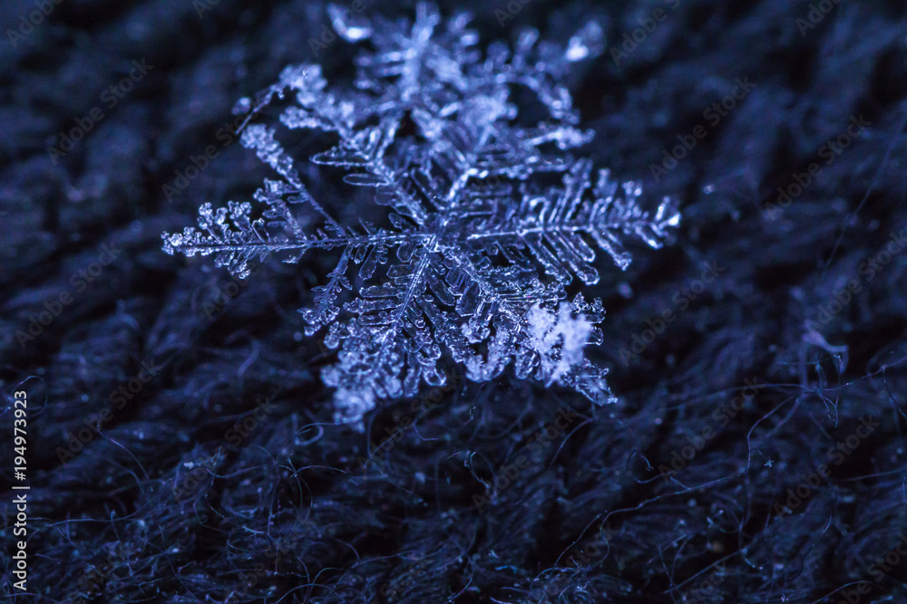 Beautiful detail of a snowflake, a single ice crystal in Paris winter ...