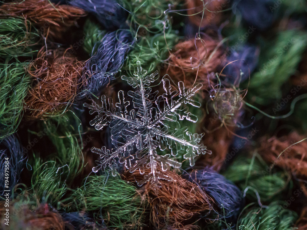 Foto de Beautiful detail of a snowflake, a single ice crystal in Paris ...