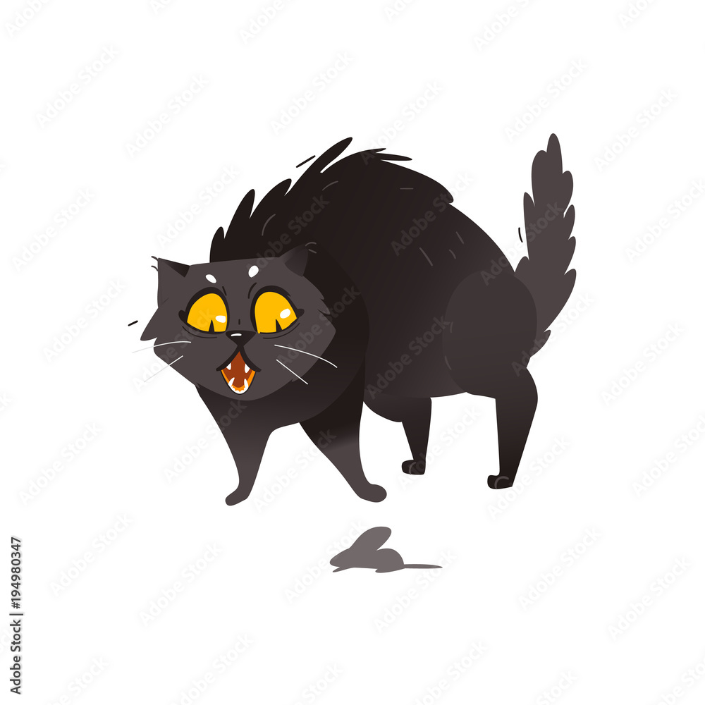 Cute fluffy fat black cat scared of little mouse, showing hackles, flat ...