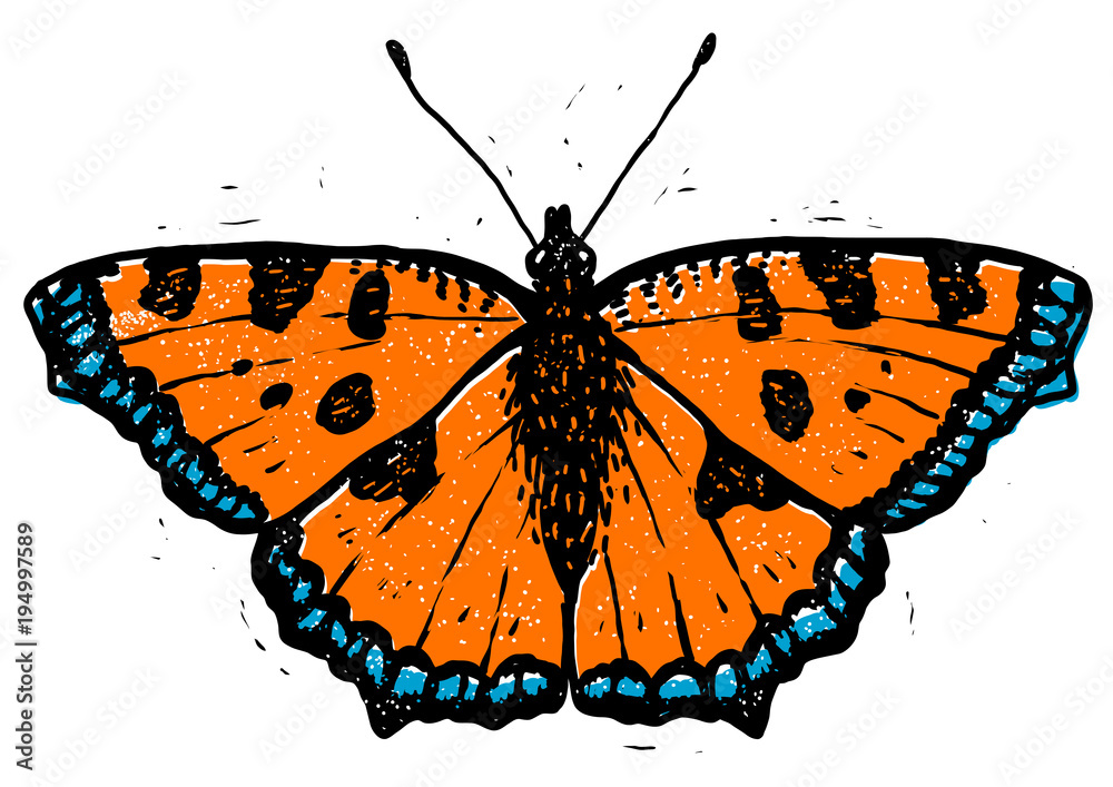 Tortoiseshell butterfly linocut illustration, draw, ink, vector Stock ...