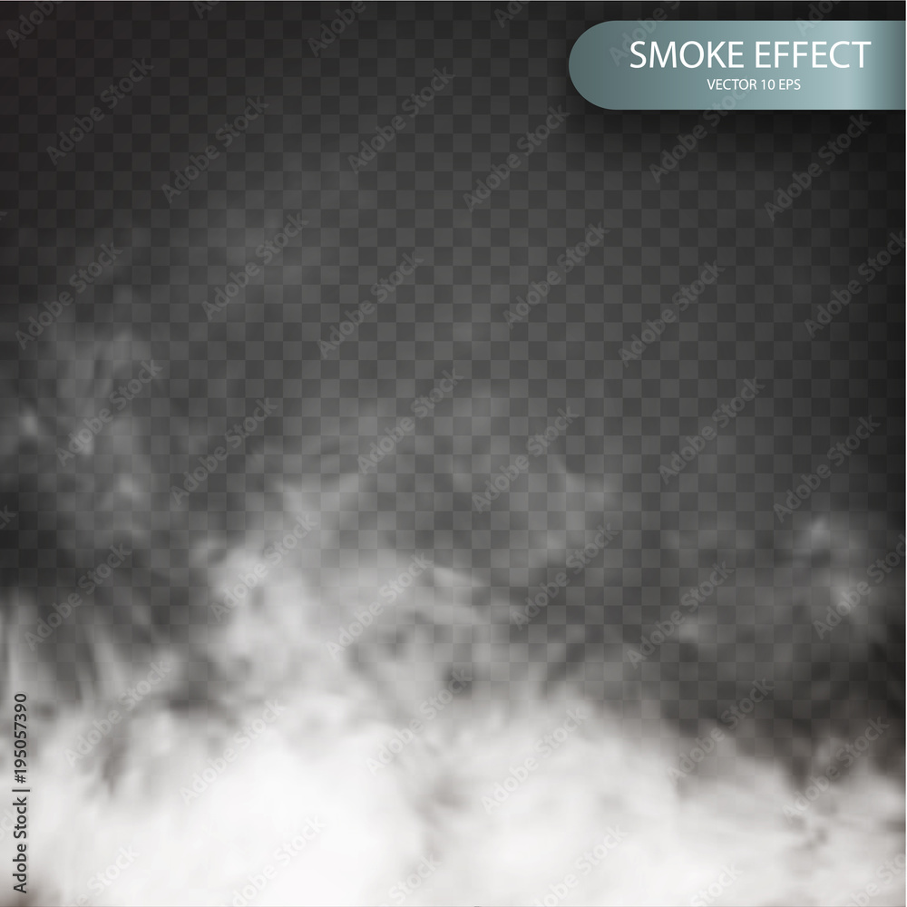 Cloud effect on a transparent vector background realistic. Cloud vector ...