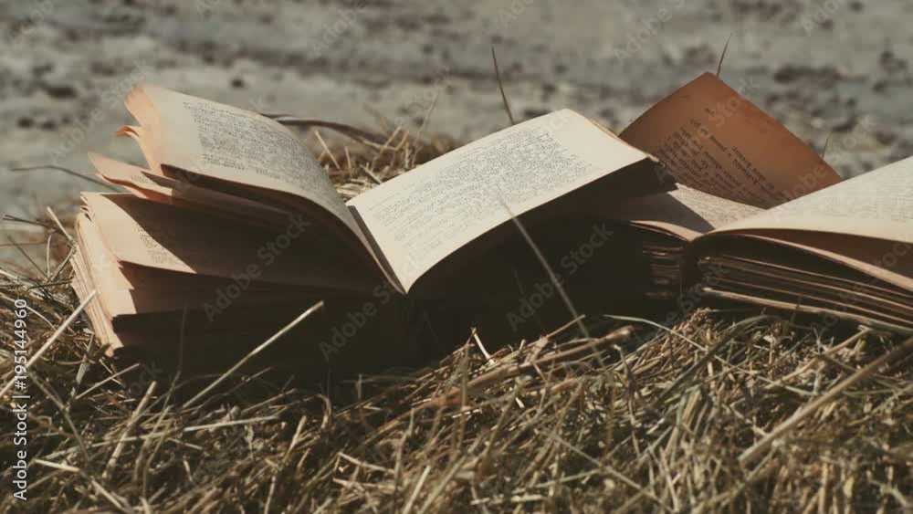 Open book with flipped pages. Wind blows the pages of the book. Vintage ...