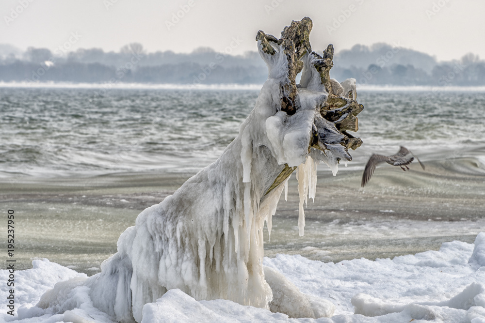 Magic isc sculptures at the beach , on a frosty winter day. - Frozen ...