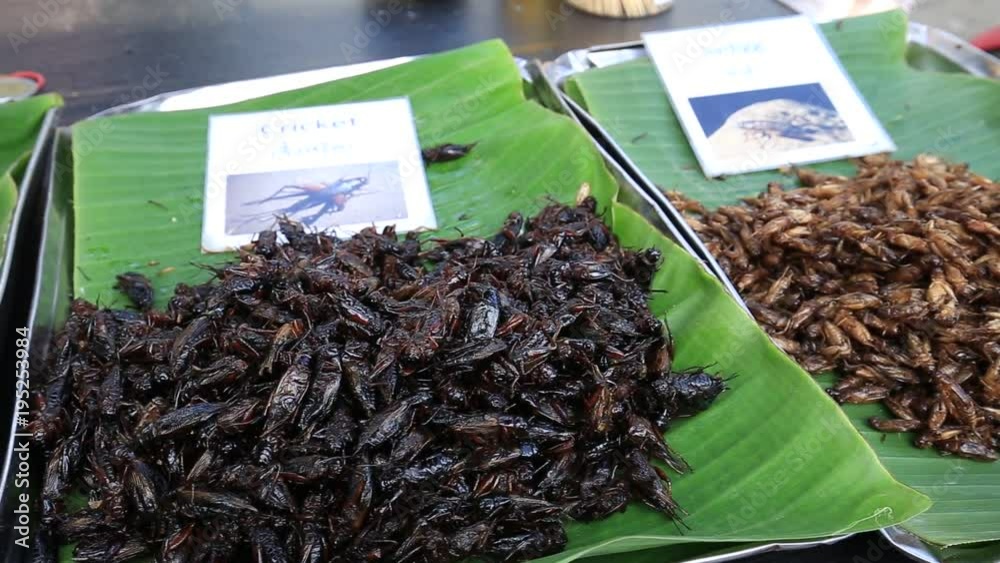 Street thai food : Edible roasted and spiced meal worms. Bugs fried on ...