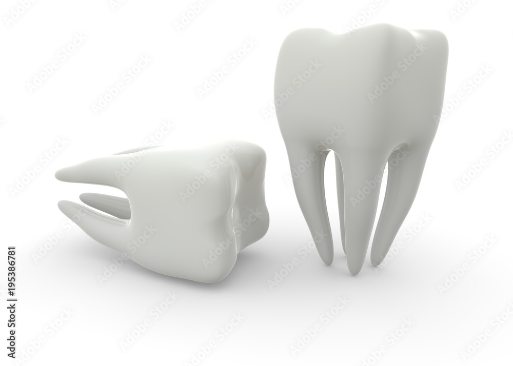 Model of a molar tooth on a white isolated background Stock ...