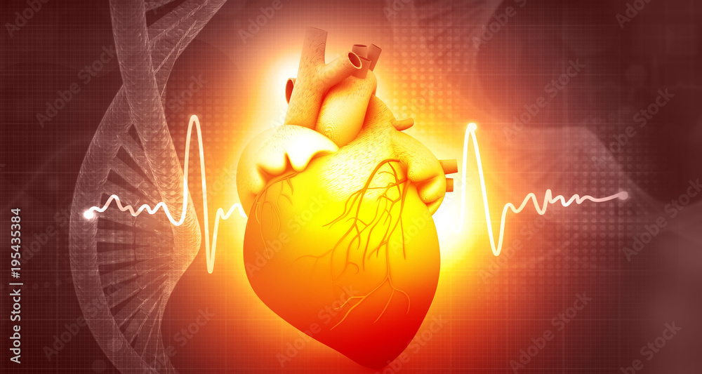 Human heart anatomy with dna abstract background. 3d illustration ...