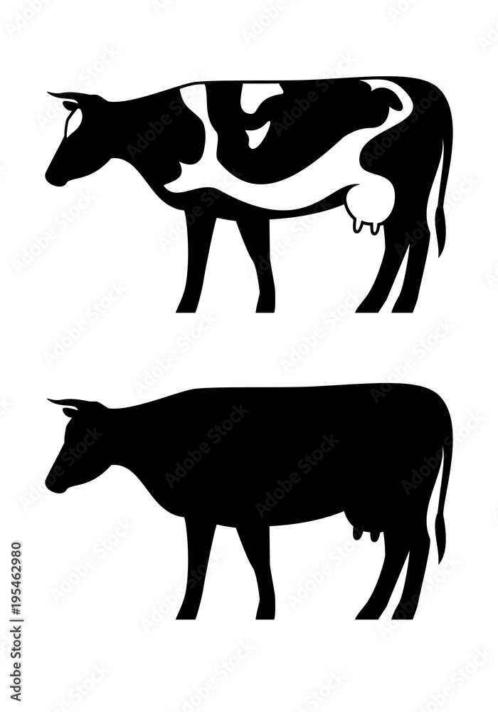 Dairy Cow Vector