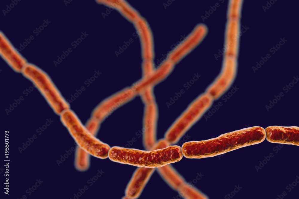 Streptobacillus moniliformis bacteria, 3D illustration, Gram-negative ...