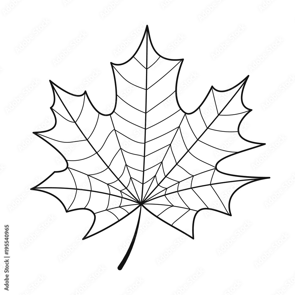 Skeleton maple leaf isolated. Vector illustration Stock Vector | Adobe ...