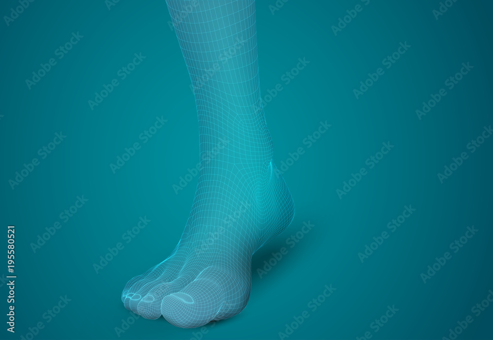 3d illustration of a vector of human feet walking along Stock ...