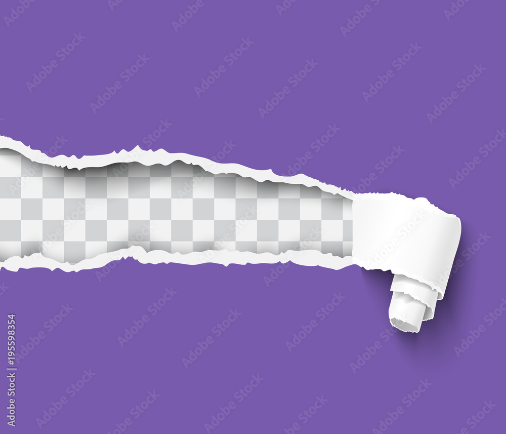 Torn paper realistic vector illustration Stock Vector | Adobe Stock