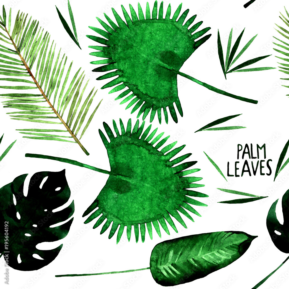 Watercolor tropical palm leaves set illustration isolated on white ...