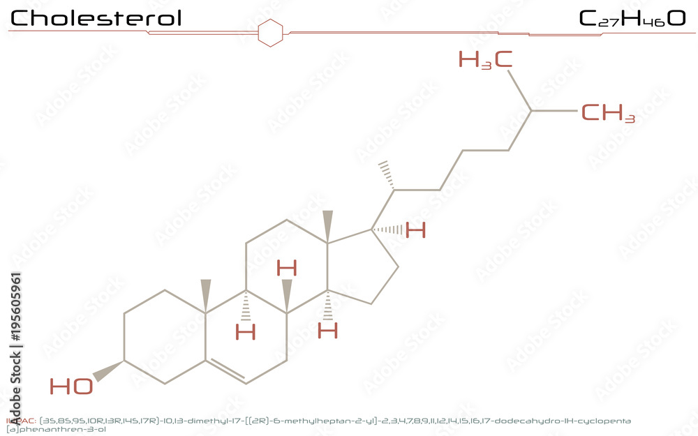 Large and detailed infographic of the molecule of Cholesterol Stock ...