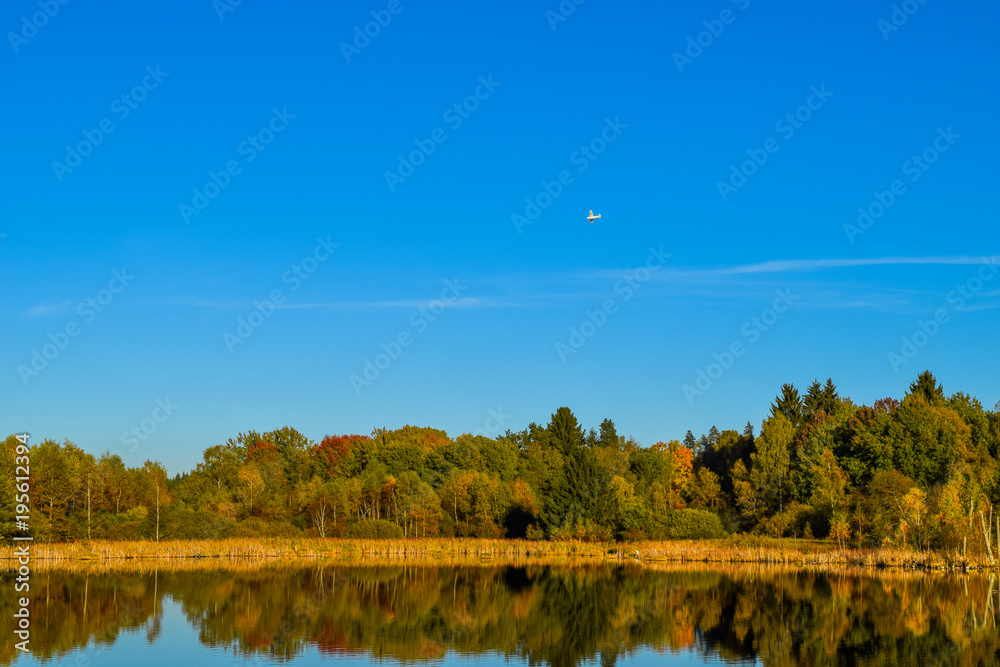View over a lake in a nature reserve, cloudless blue sky, trees ...