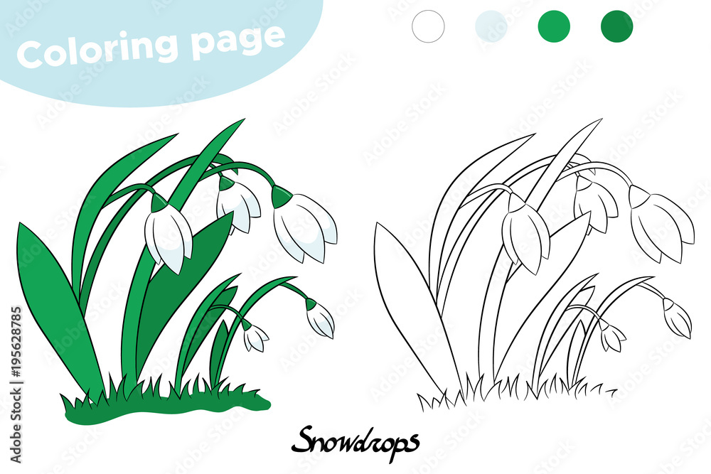 Coloring page for children. Spring flowers - Snowdrops. Hand drawn ...