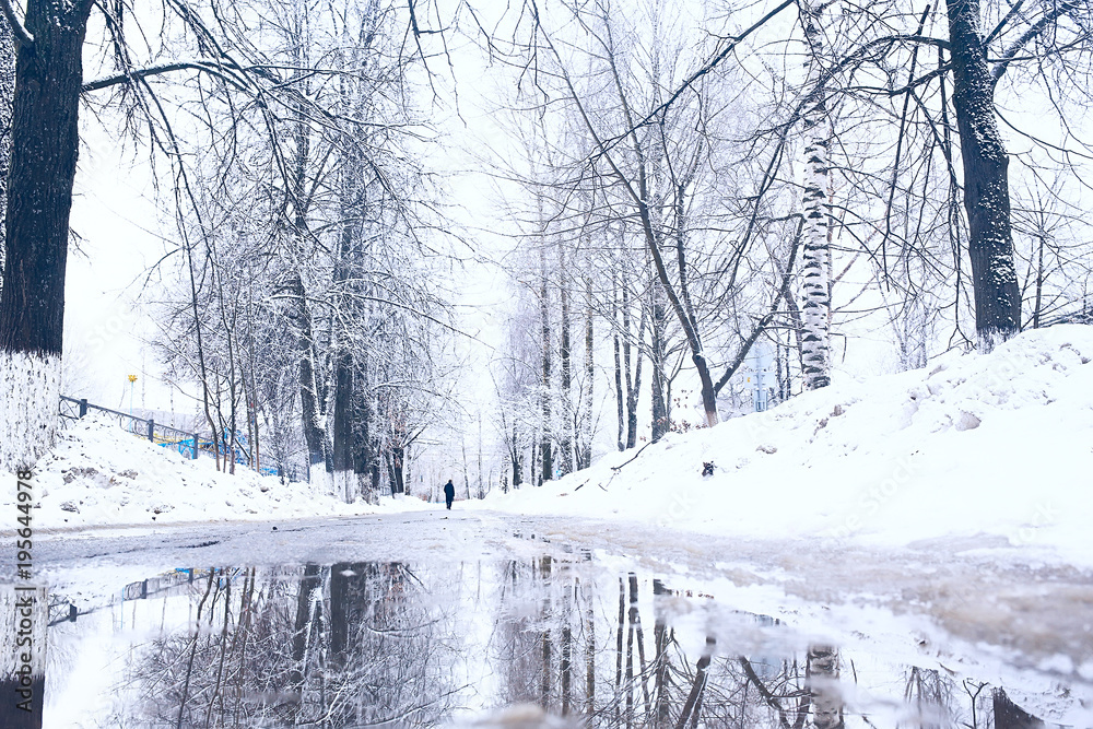 winter landscape / snow-covered trees covered with snow, concept of ...