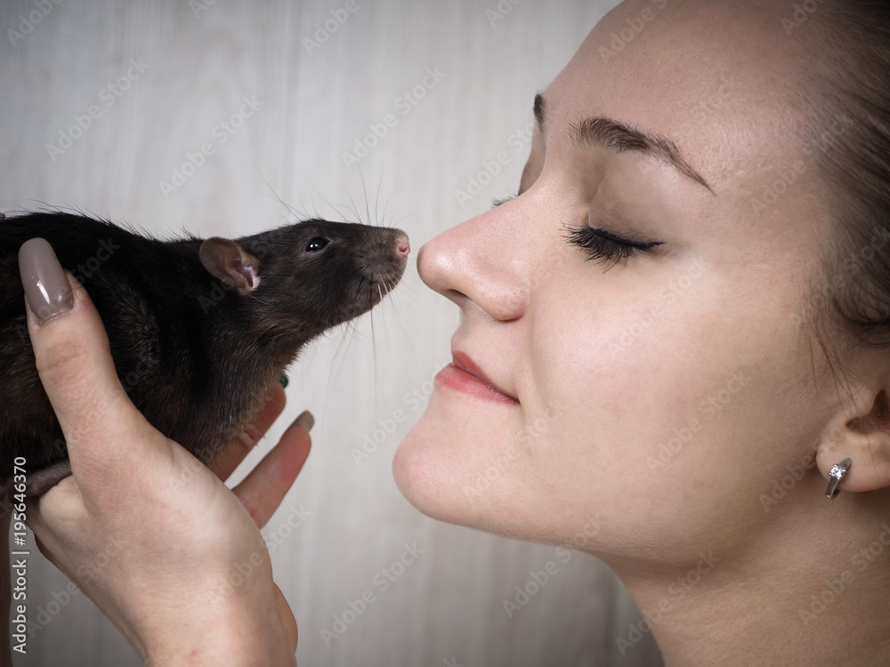 Amazing portrait - the girl's face and muzzle rats closeup Stock Photo ...