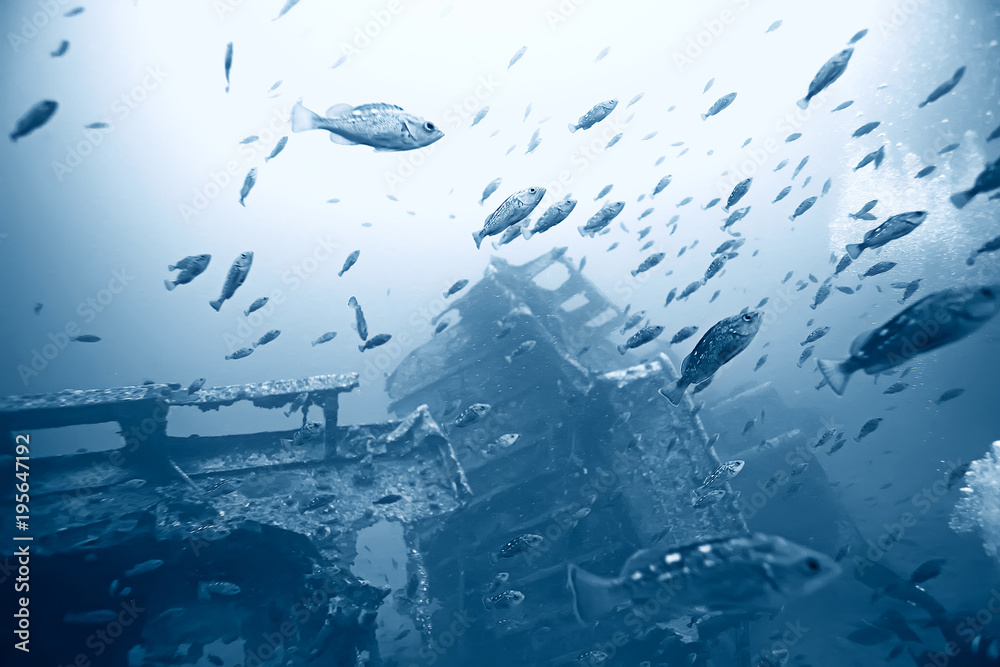 shipwreck, diving on a sunken ship, underwater landscape Stock Photo ...