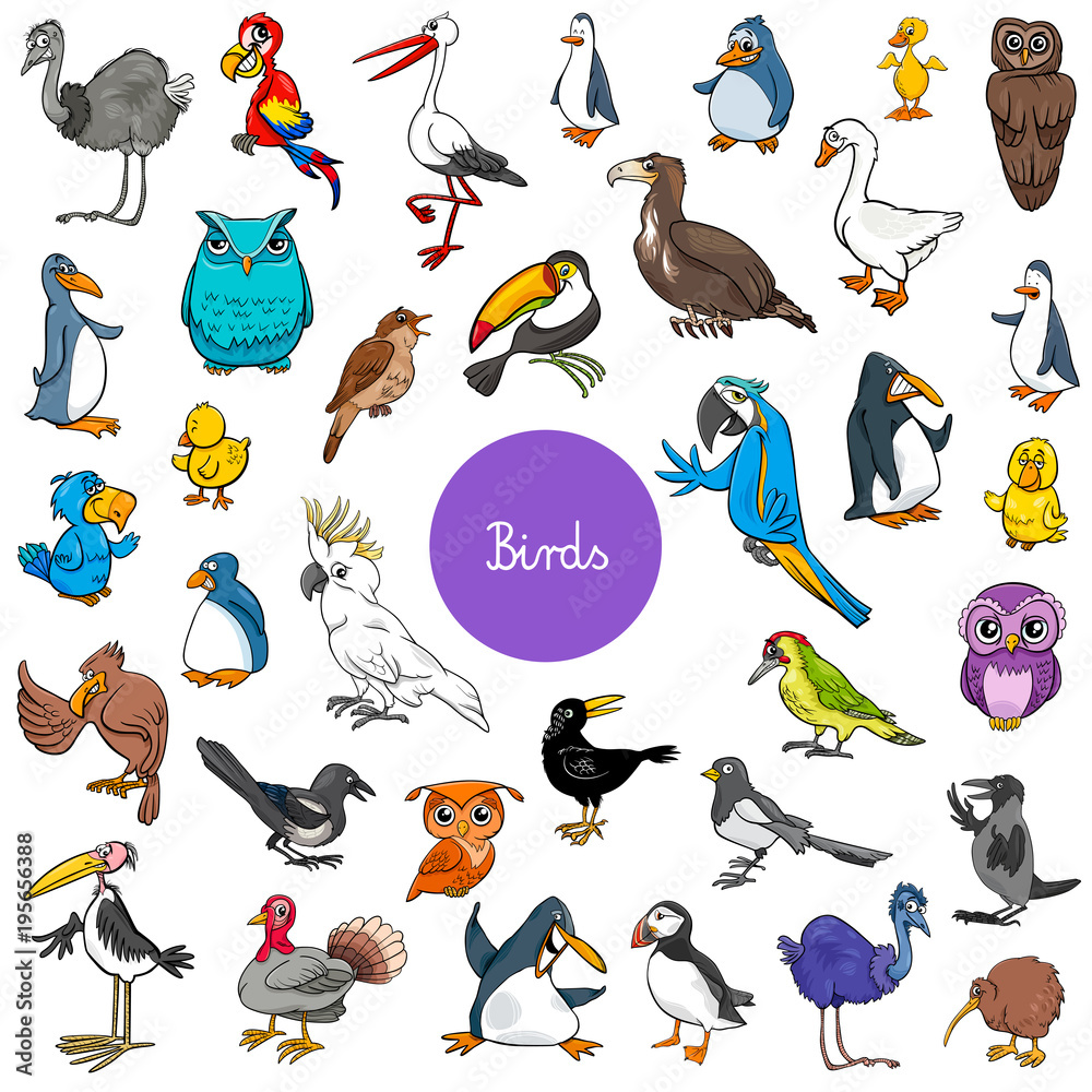 cartoon birds animal characters big set Stock Vector | Adobe Stock