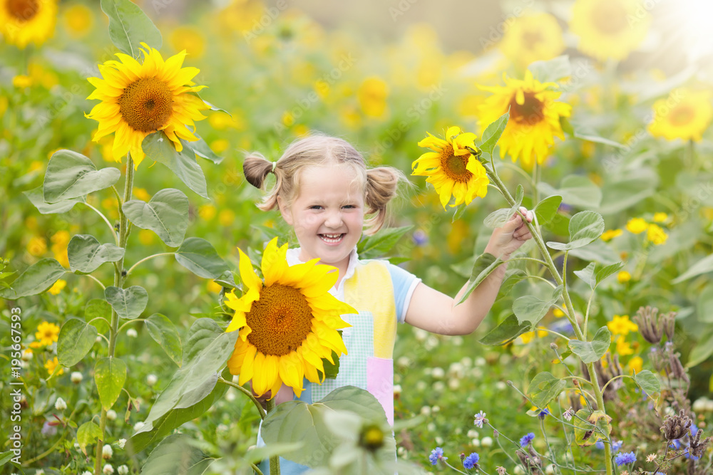 Child in sunflower field. Kids with sunflowers. Stock Photo | Adobe Stock