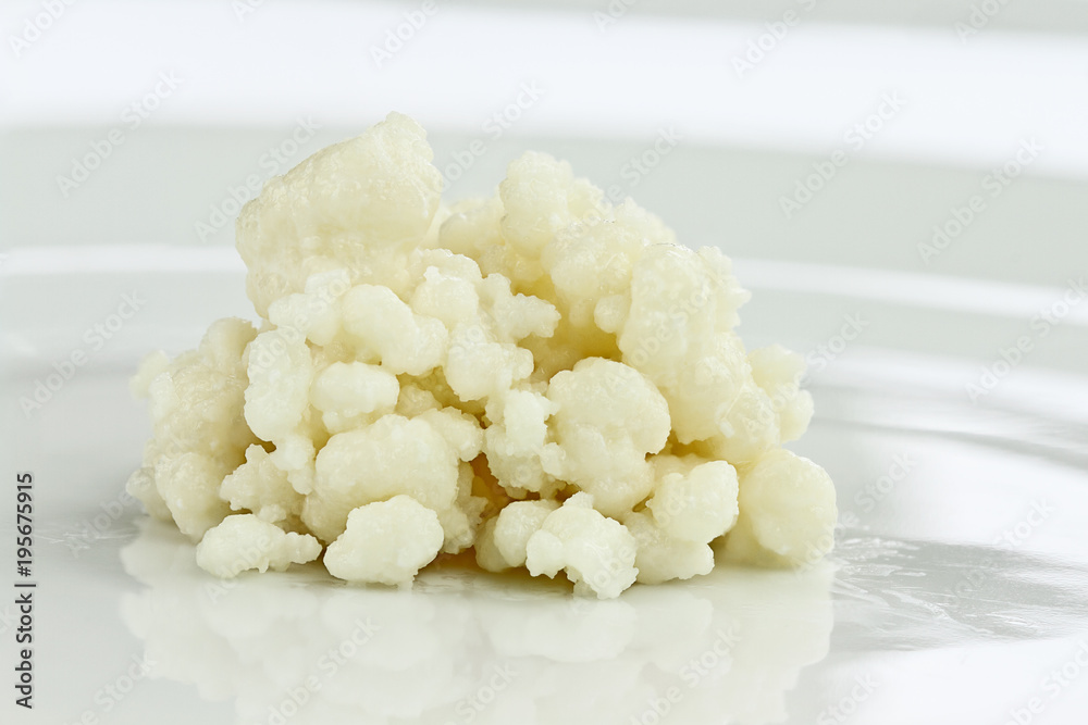 Fresh Kefir grains. Kefir is one of the top health foods available ...