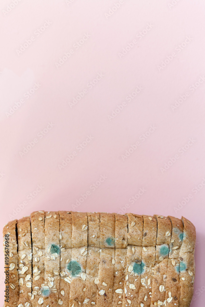 Moldy Bread Stock Photo | Adobe Stock
