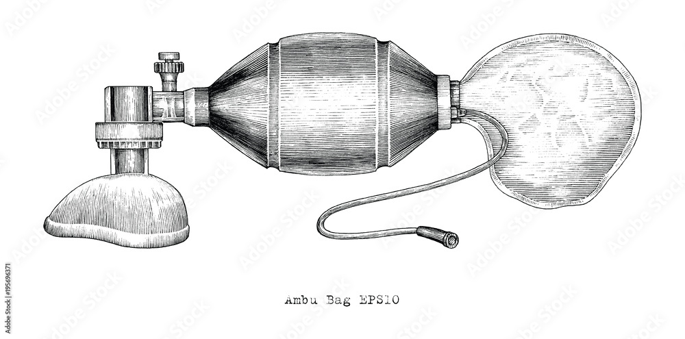 Ambu Bag hand drawing vintage engraving style Stock Vector | Adobe Stock
