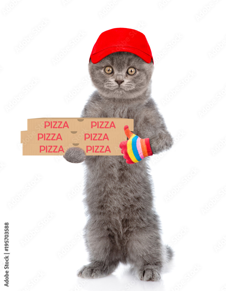 Pizza delivery cat in red cap with pizza boxes showing thumbs up ...