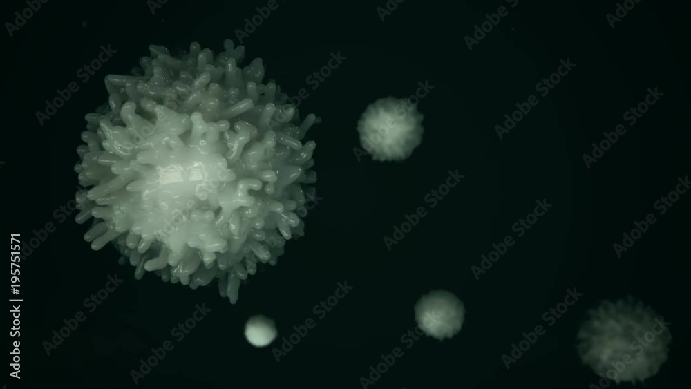 Lymphocyte (Leukocyte). Medically accurate 3D representation of an ...