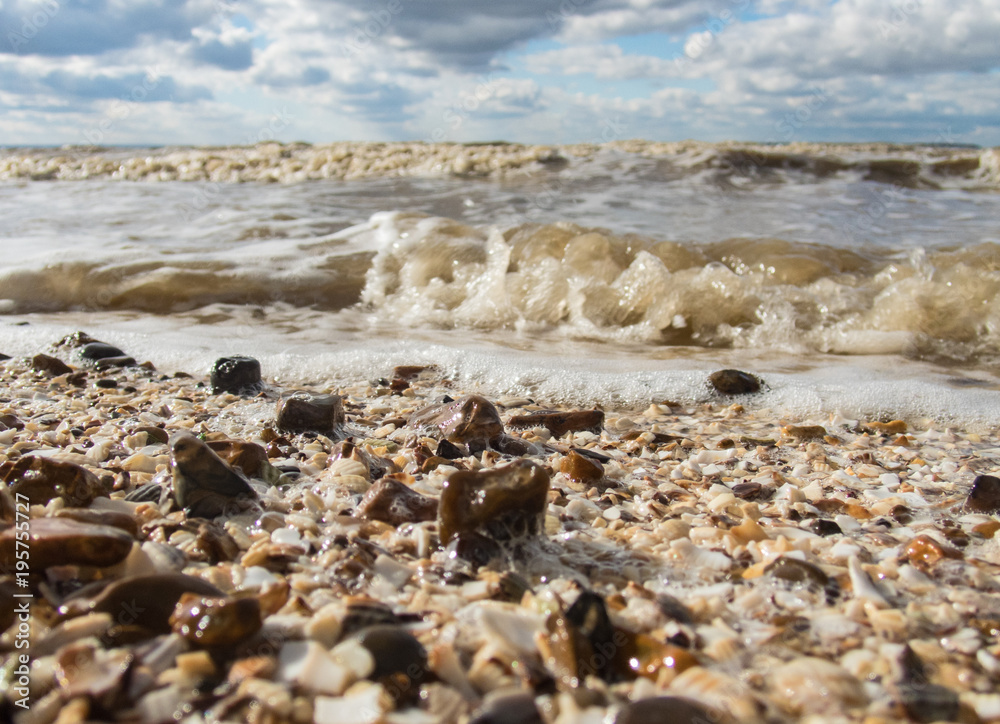 pebble and broken shells on a beach macro image at the shore line. The ...