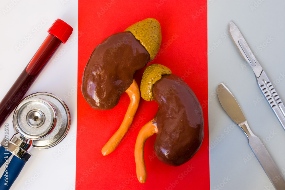 Sequence of medical items: stethoscope and laboratory test tube with ...