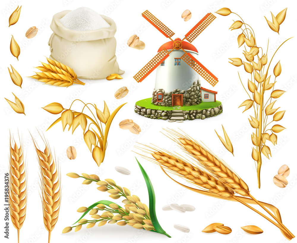 Grains Clipart