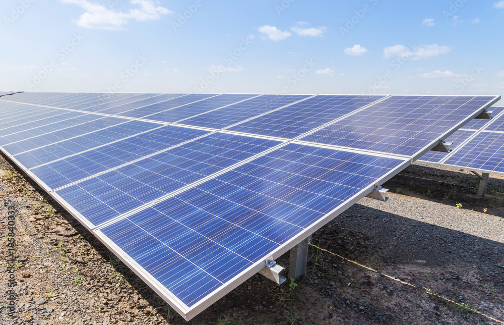 Close up rows array of polycrystalline silicon solar cells or ...